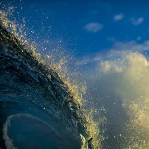 Photographer Collection For sale as Framed Prints, Photos, Wall Art and ...