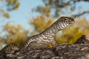 Theda Station Collection of Photo Prints and Gifts