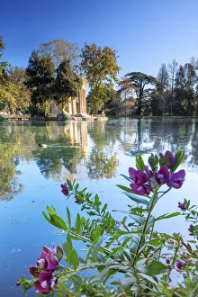 Villa Borghese Prints
